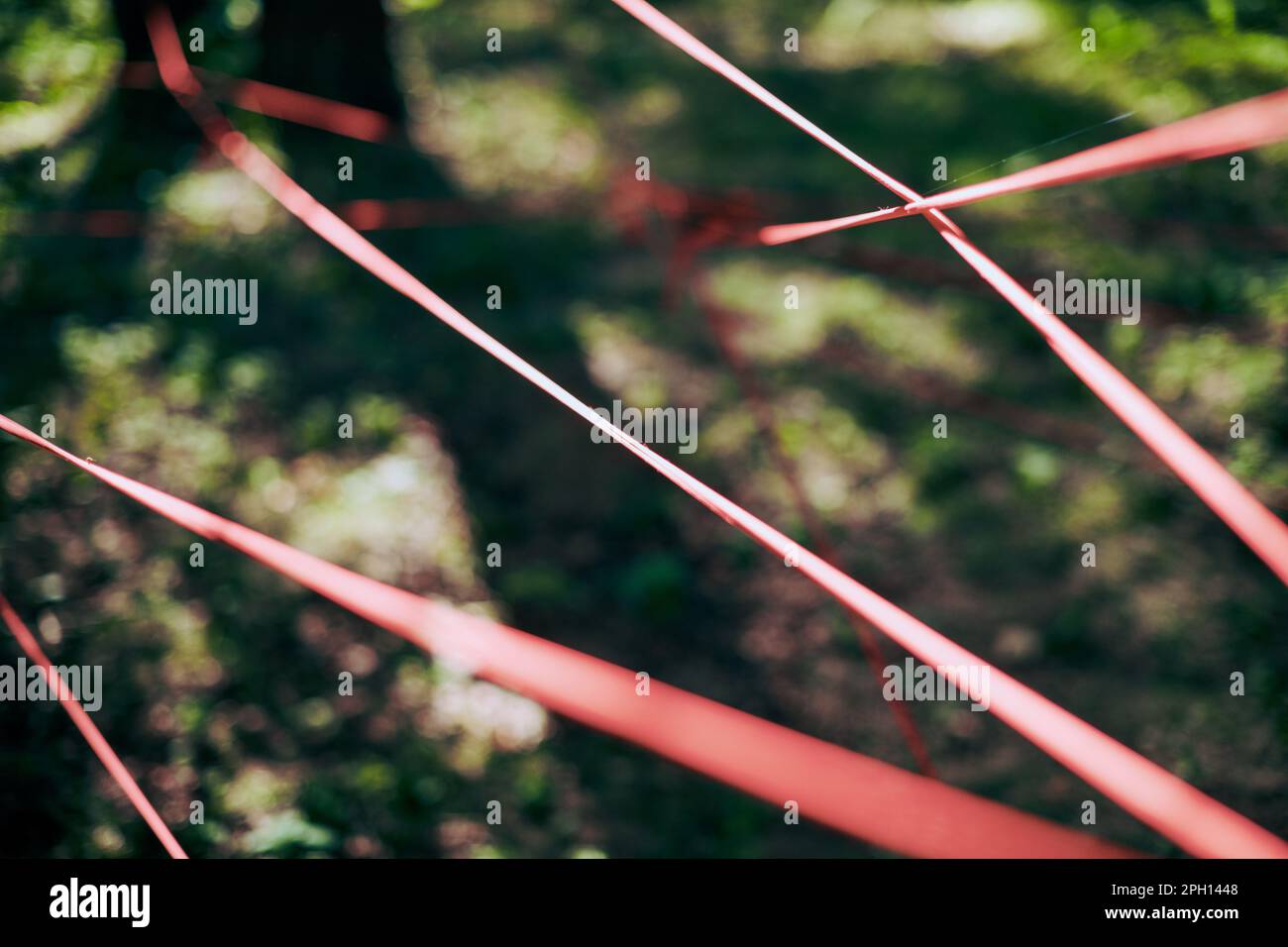 Red tangled ropes in green forest foliage, abstract art object about ...