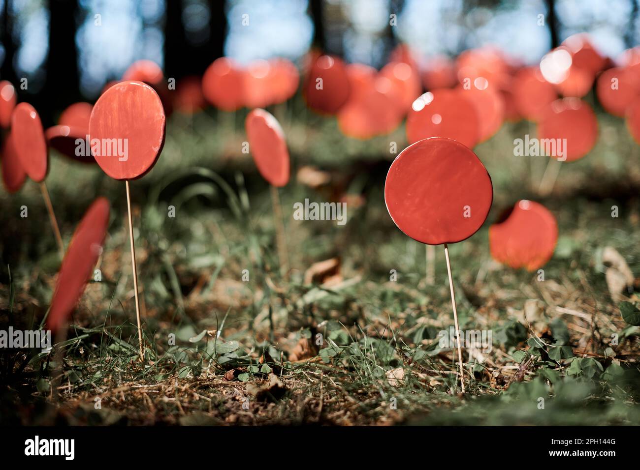 Red lollipops on stick against green grass, outdoor land art objects ...