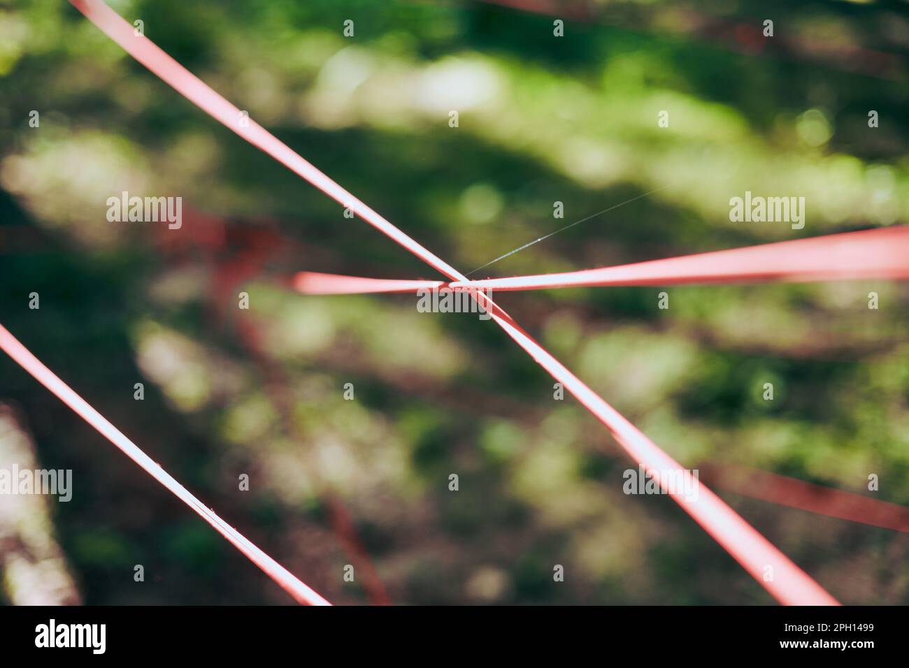 Red tangled ropes in green forest foliage, abstract art object about ...