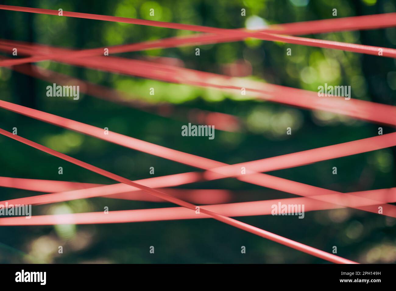 Red tangled ropes in green forest foliage, abstract art object about ...