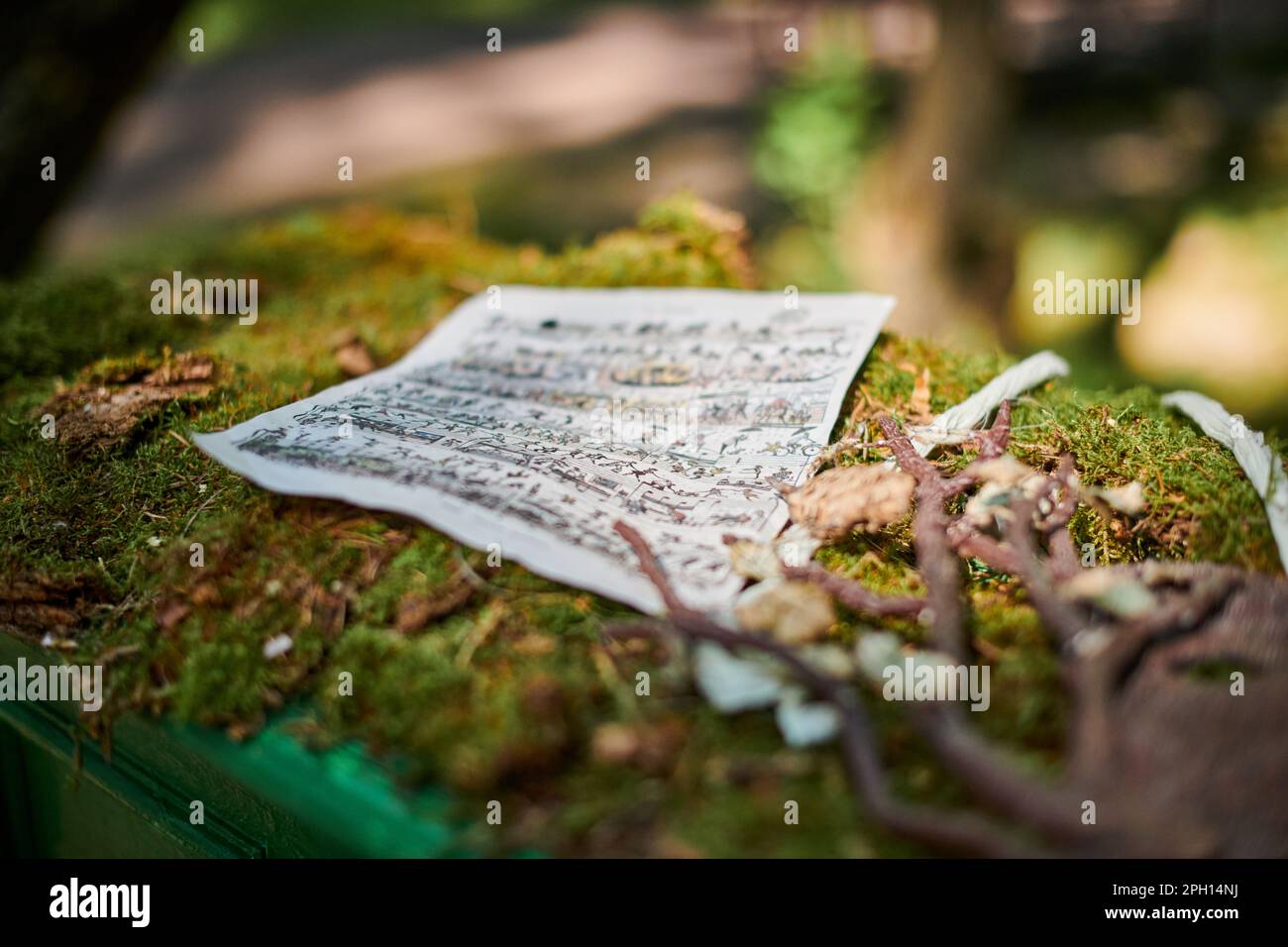 Sheet music notes page in green moss outdoor art object of old ...
