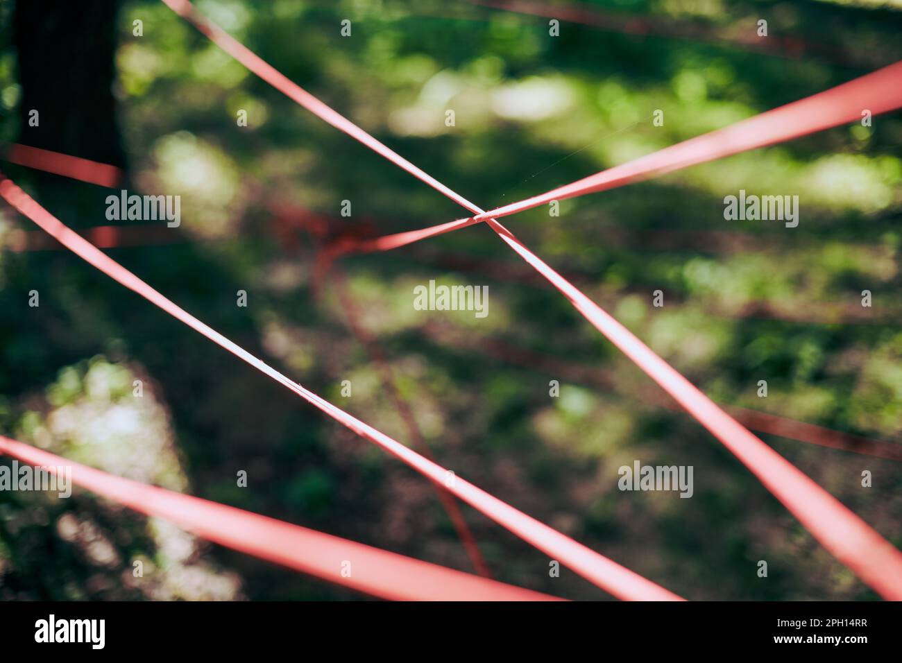 Red tangled ropes in green forest foliage, abstract art object about ...