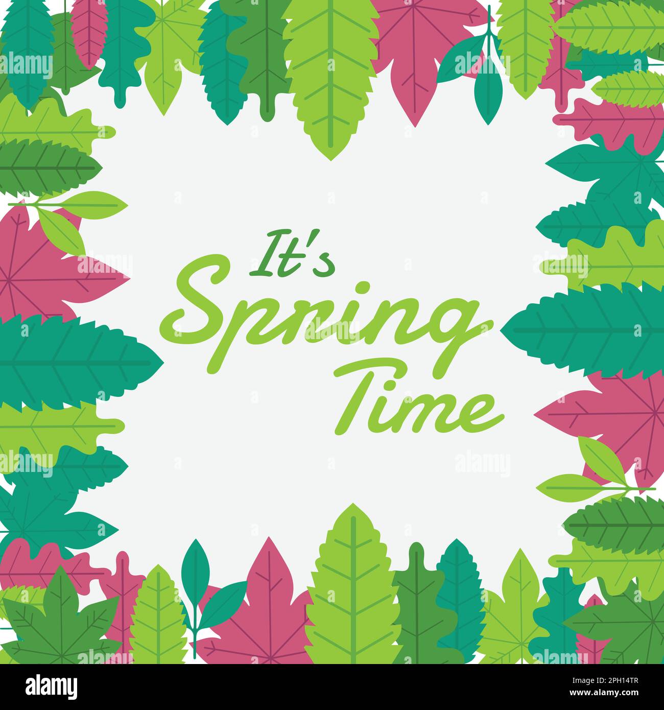 Spring square frame with flowers and twigs vector image. Square frame ...