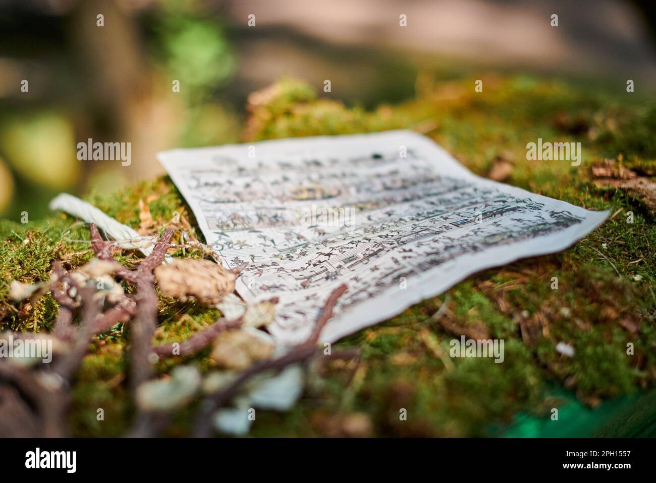 Sheet music notes page in green moss outdoor art object of old ...