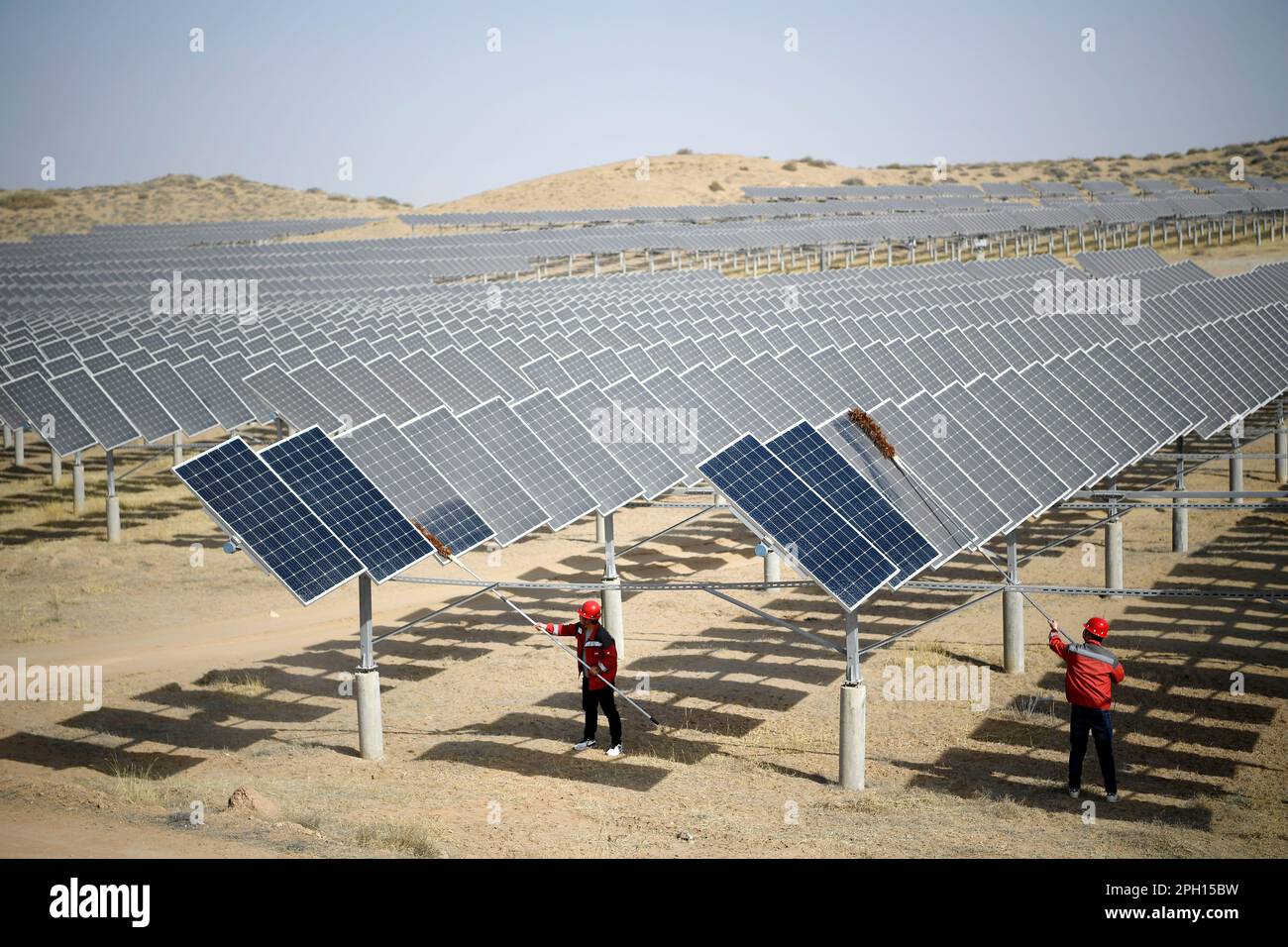 Yinchuan, China's Ningxia Hui Autonomous Region. 25th Mar, 2023. Staff ...