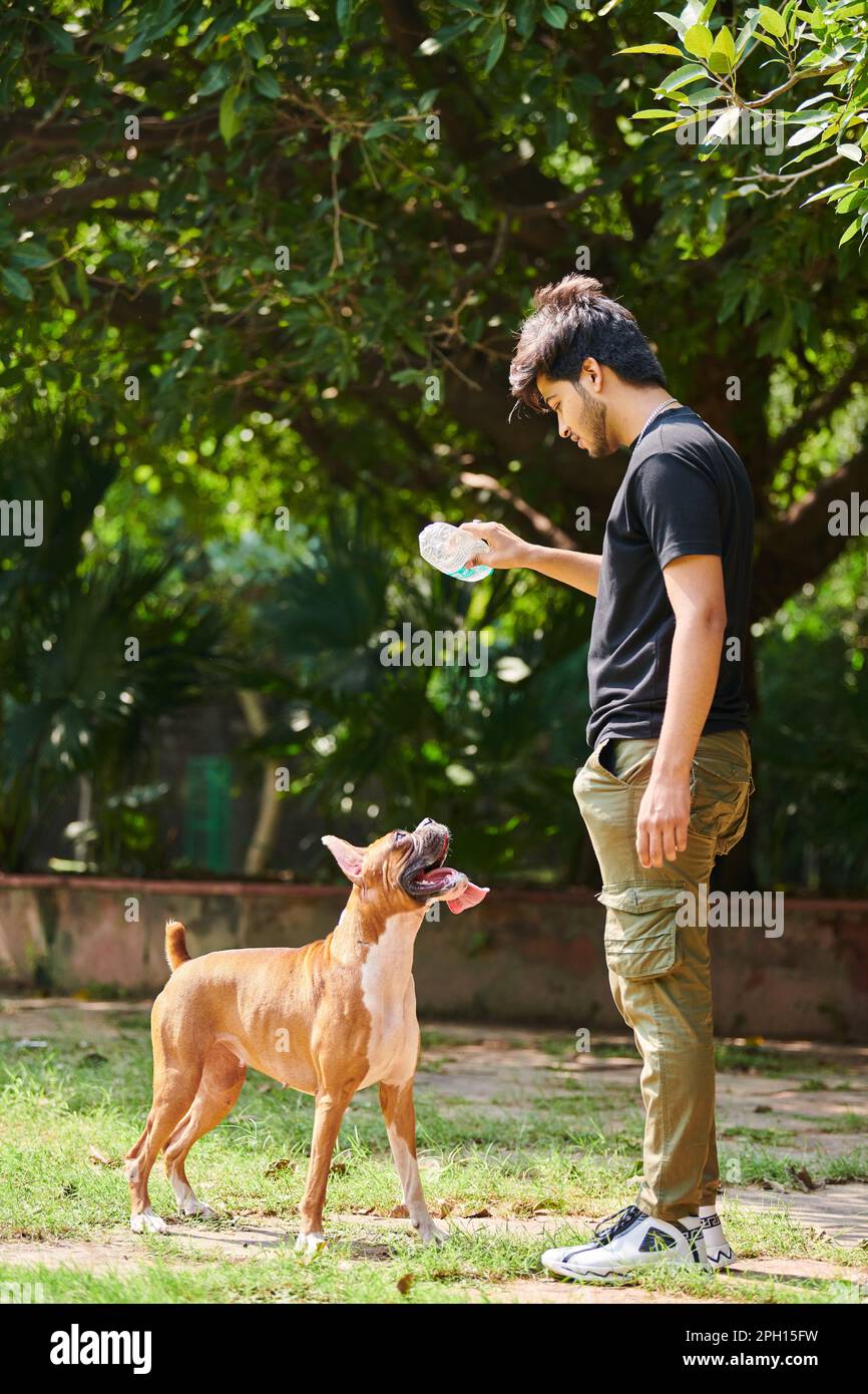 Young indian man playing with boxer dog on green summer lawn in public ...