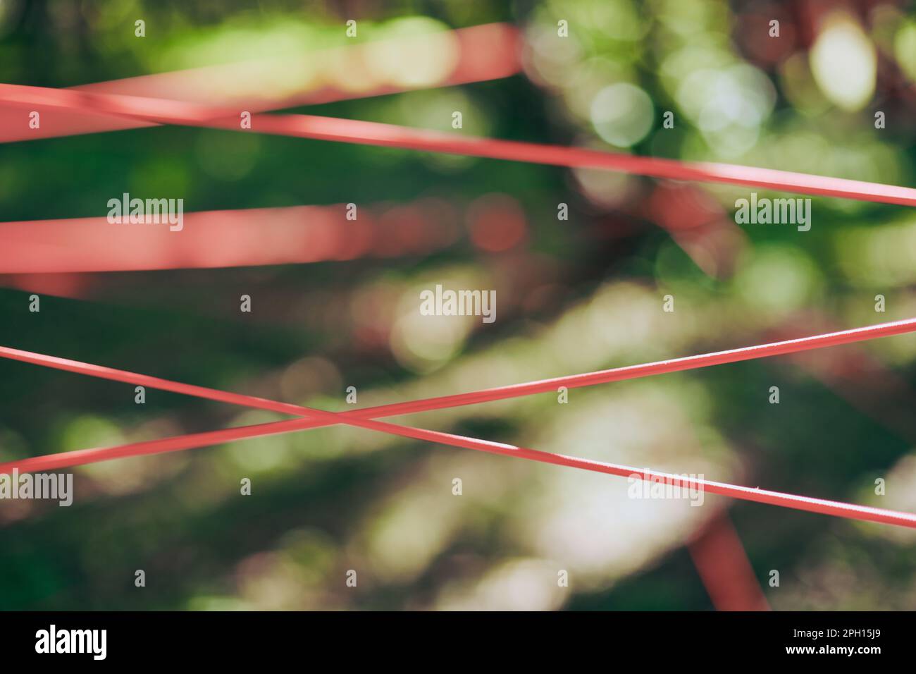 Red tangled ropes in green forest foliage, abstract art object about ...