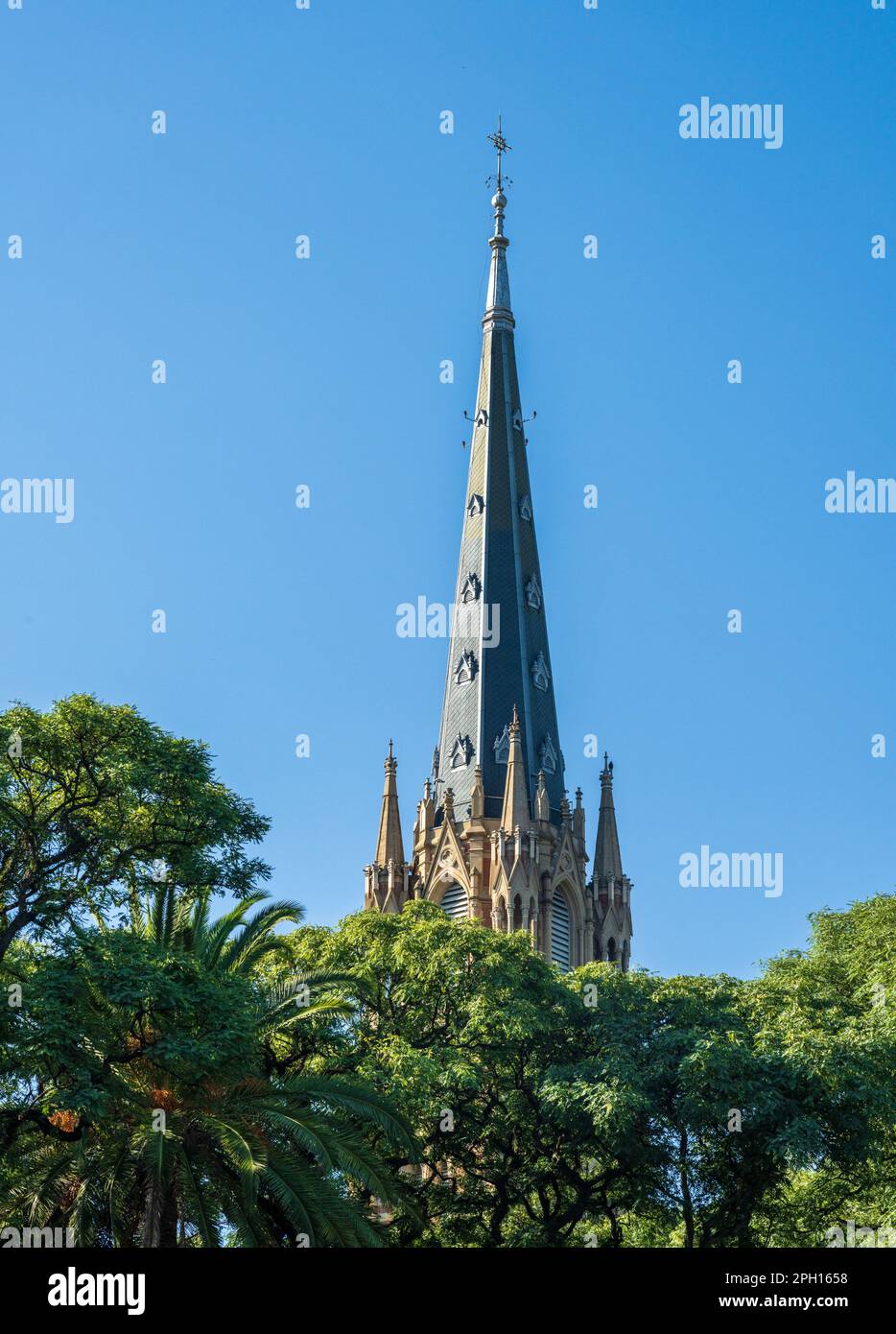 Leafy view of the tall church spire and clock tower of San Isidro ...