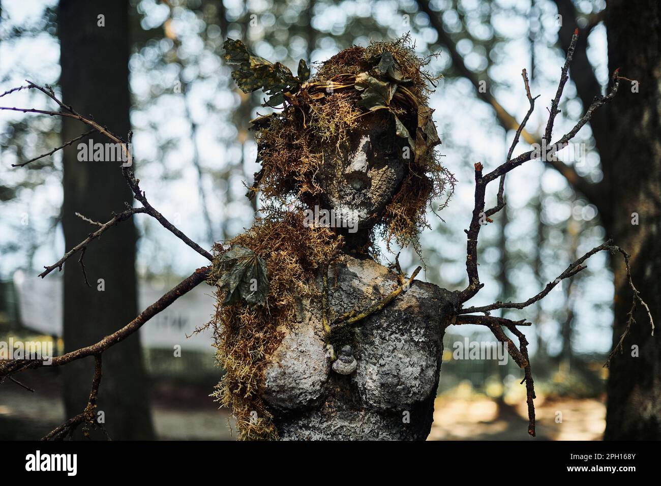 Creepy witch statue art object on forest background made of mud plaster ...