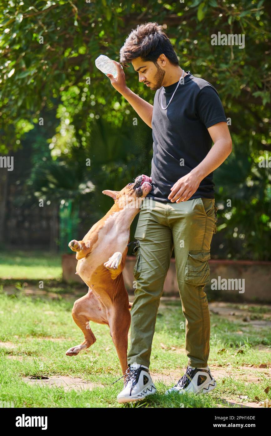 Young indian man playing with boxer dog on green summer lawn in public ...