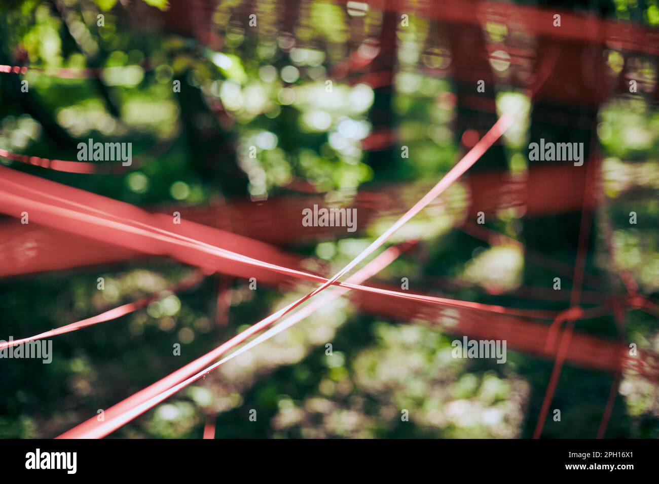 Red tangled ropes in green forest foliage, abstract art object about ...