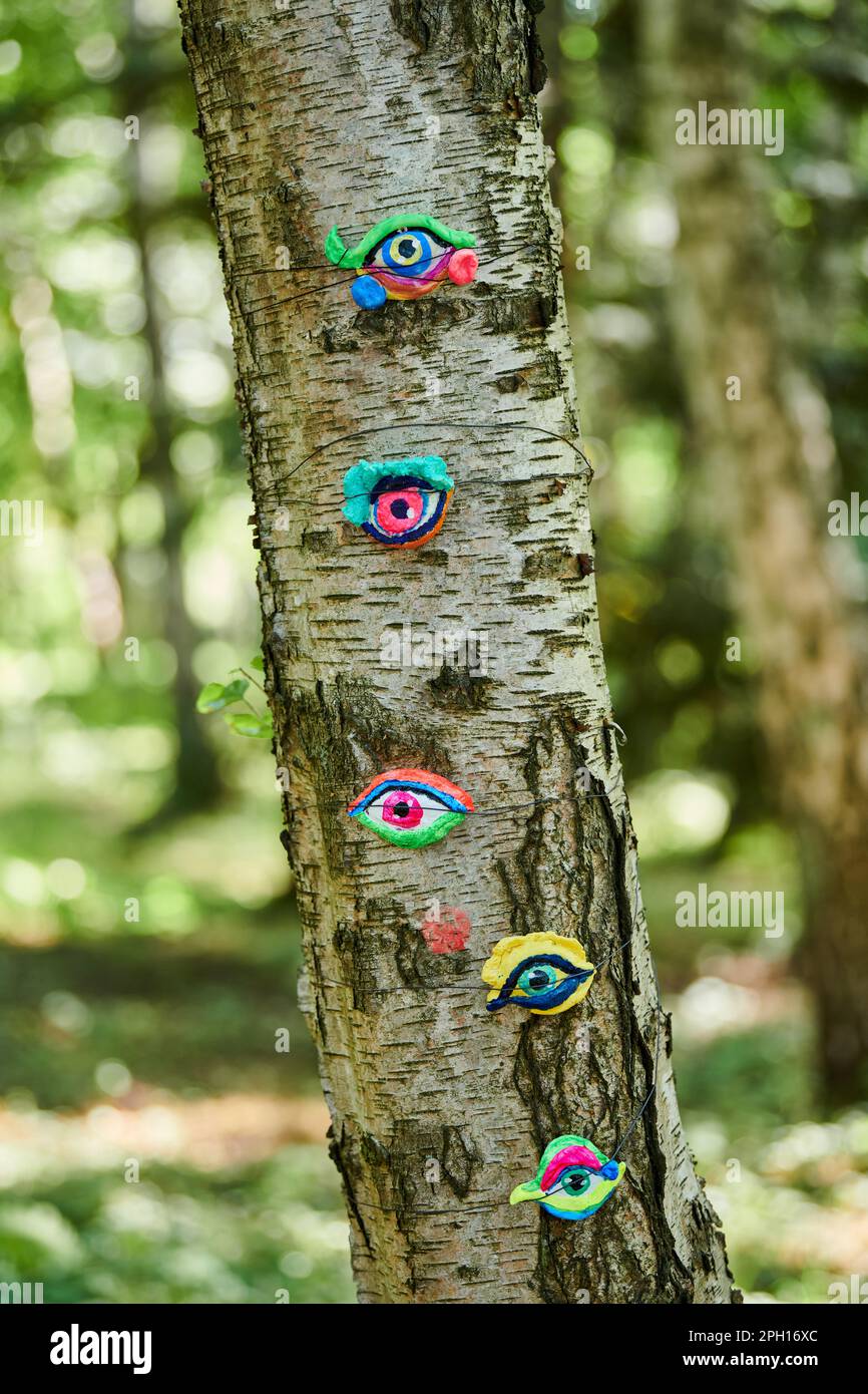 Art object of human eyes on tree trunk in green forest background ...