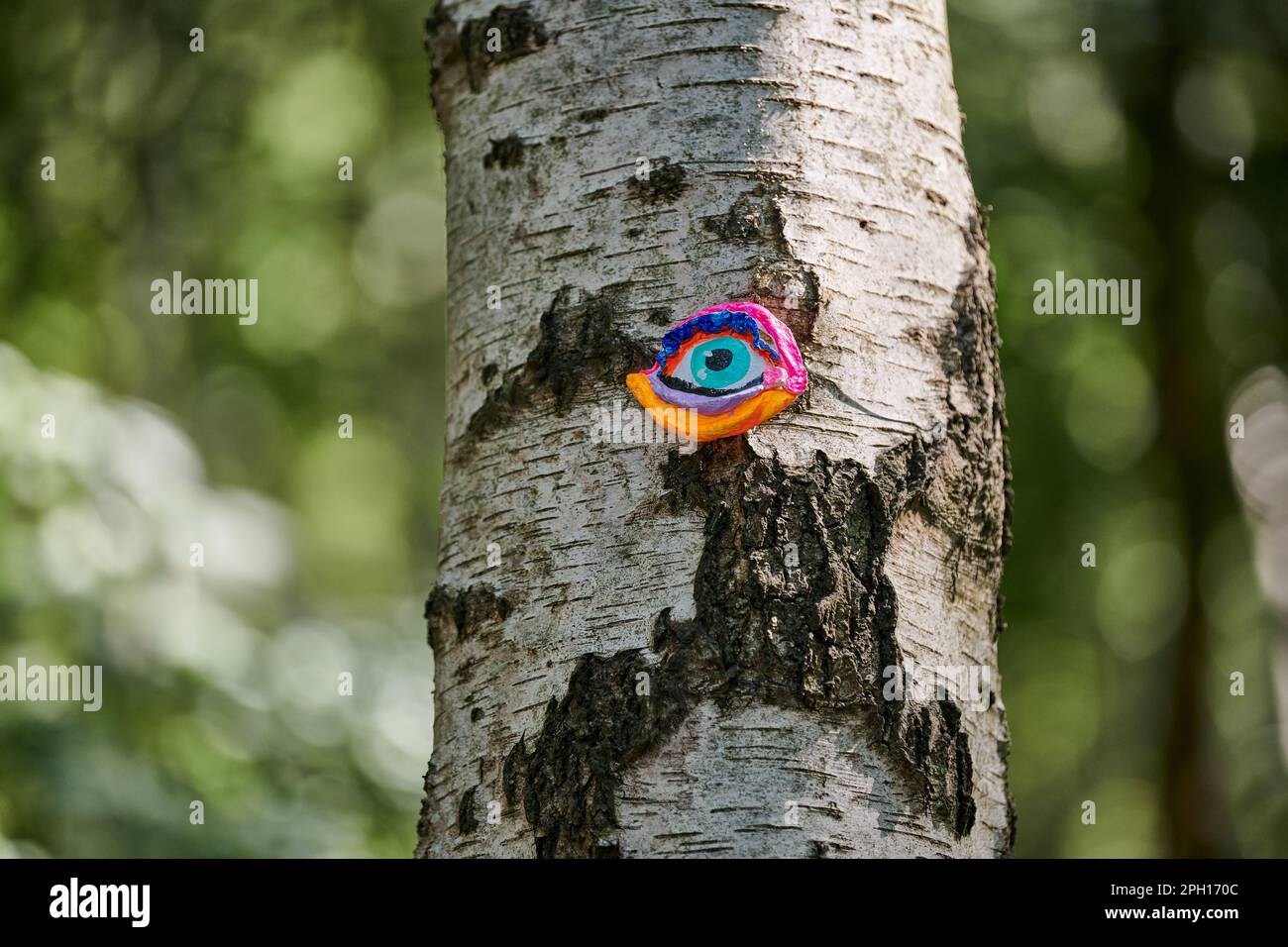 Art object of human eyes on tree trunk in green forest background ...