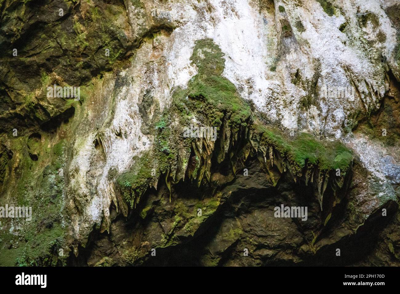 Potok cave hi-res stock photography and images - Alamy