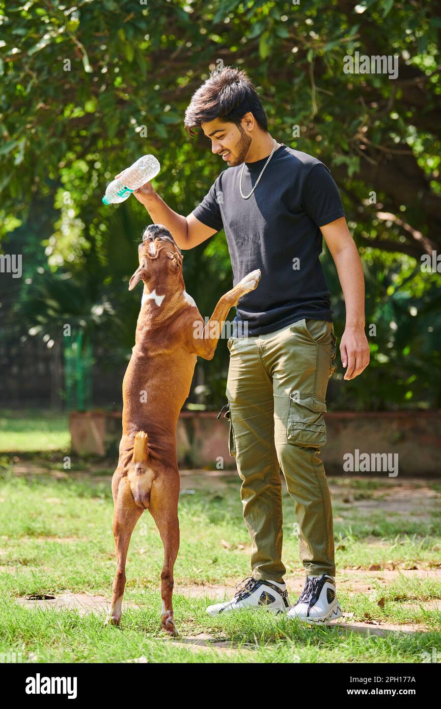 Young indian man playing with boxer dog on green summer lawn in public ...