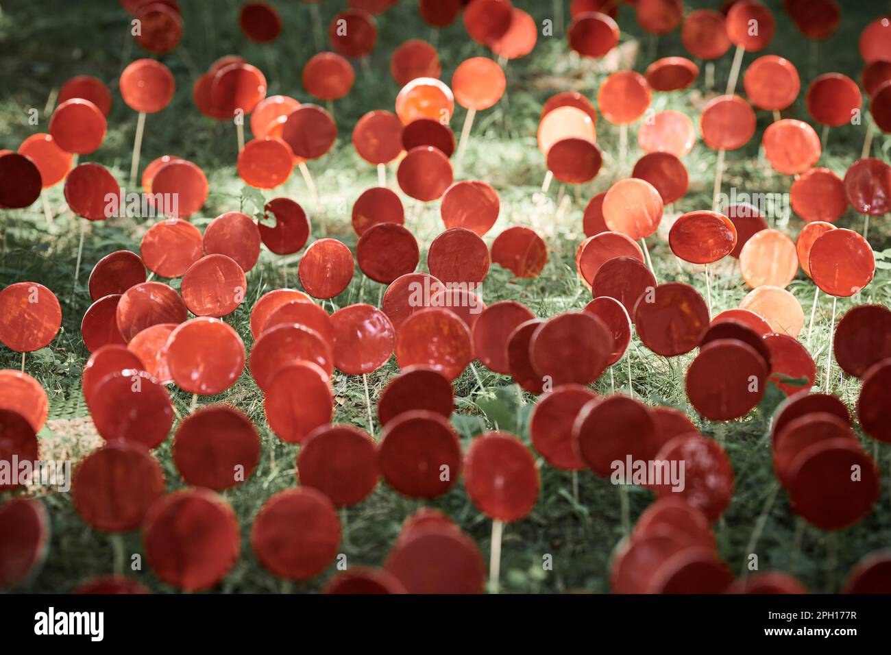 Red lollipops on stick against green grass, outdoor land art objects ...
