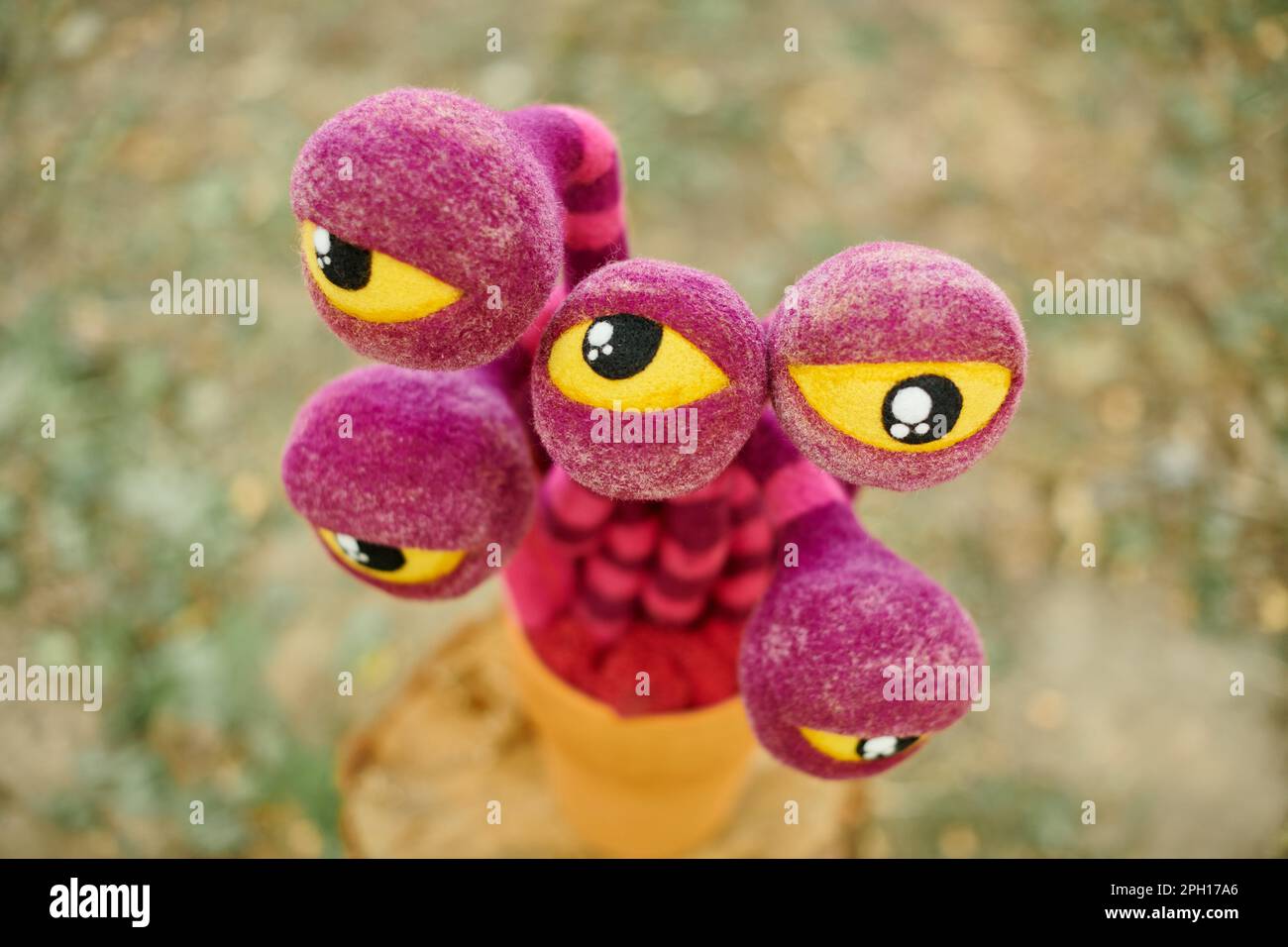 Purple striped flower with yellow eyes in clay pot on tree stump ...