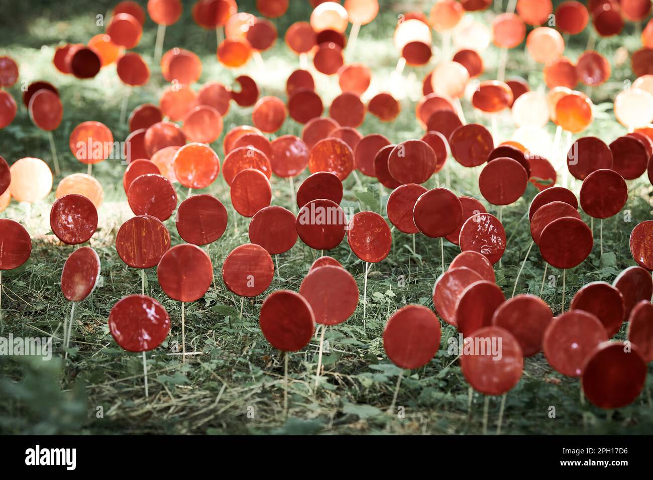 Red lollipops on stick against green grass, outdoor land art objects ...