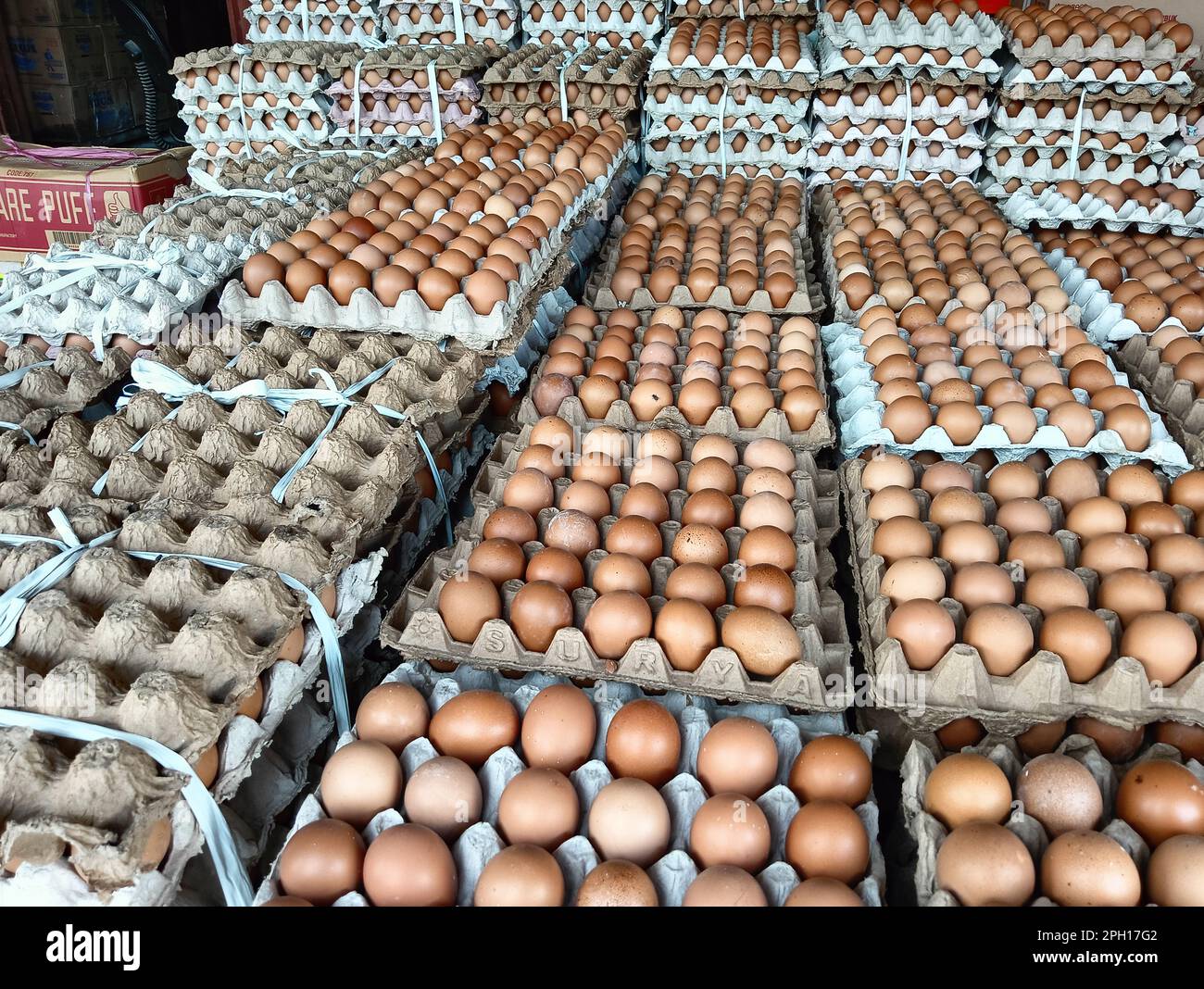 Full fresh egg paper tray from chicken farm in preserved package for ...