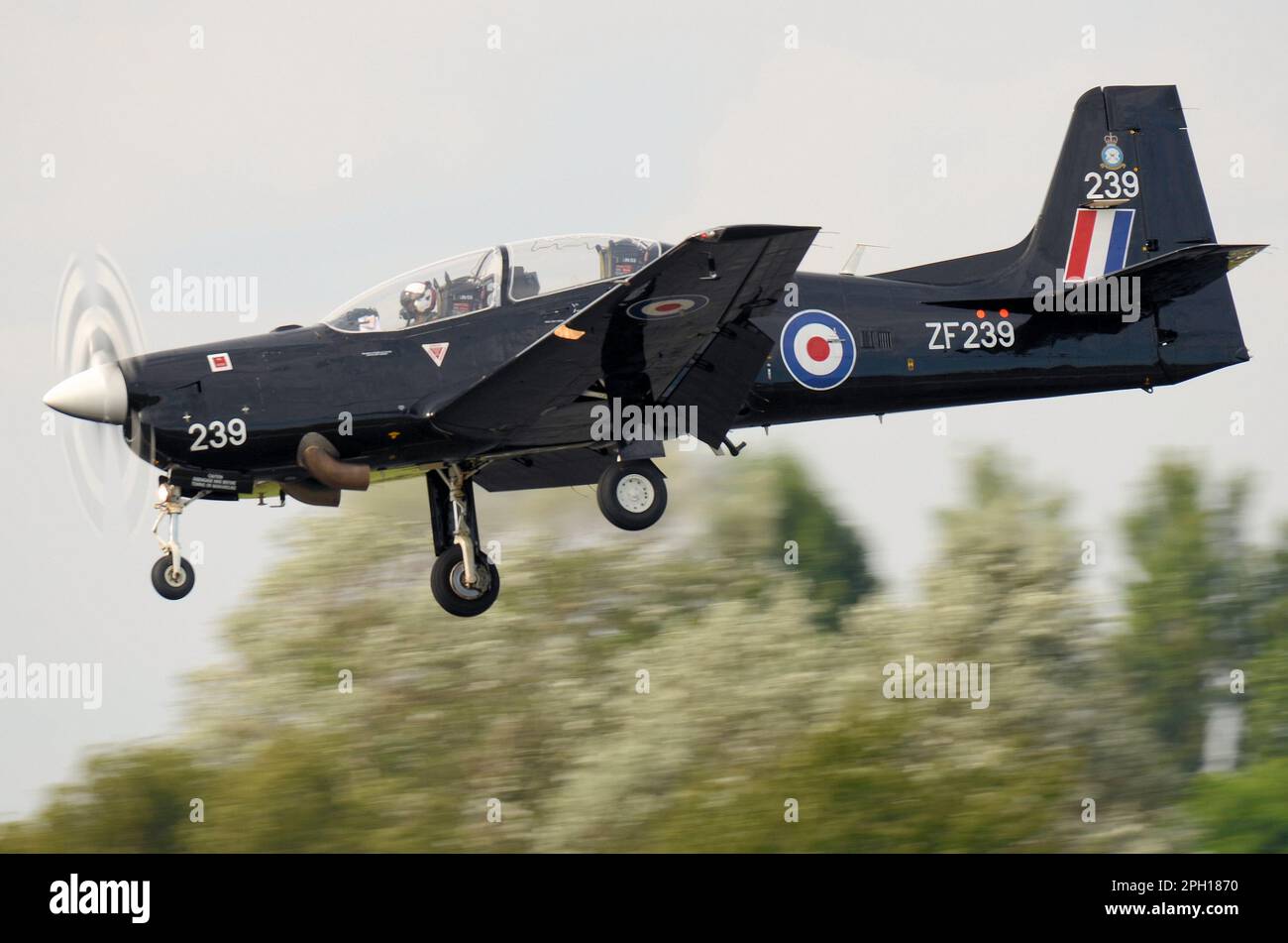 RAF Short Tucano T1 training aircraft ZF239 landing at Southend Airport ...