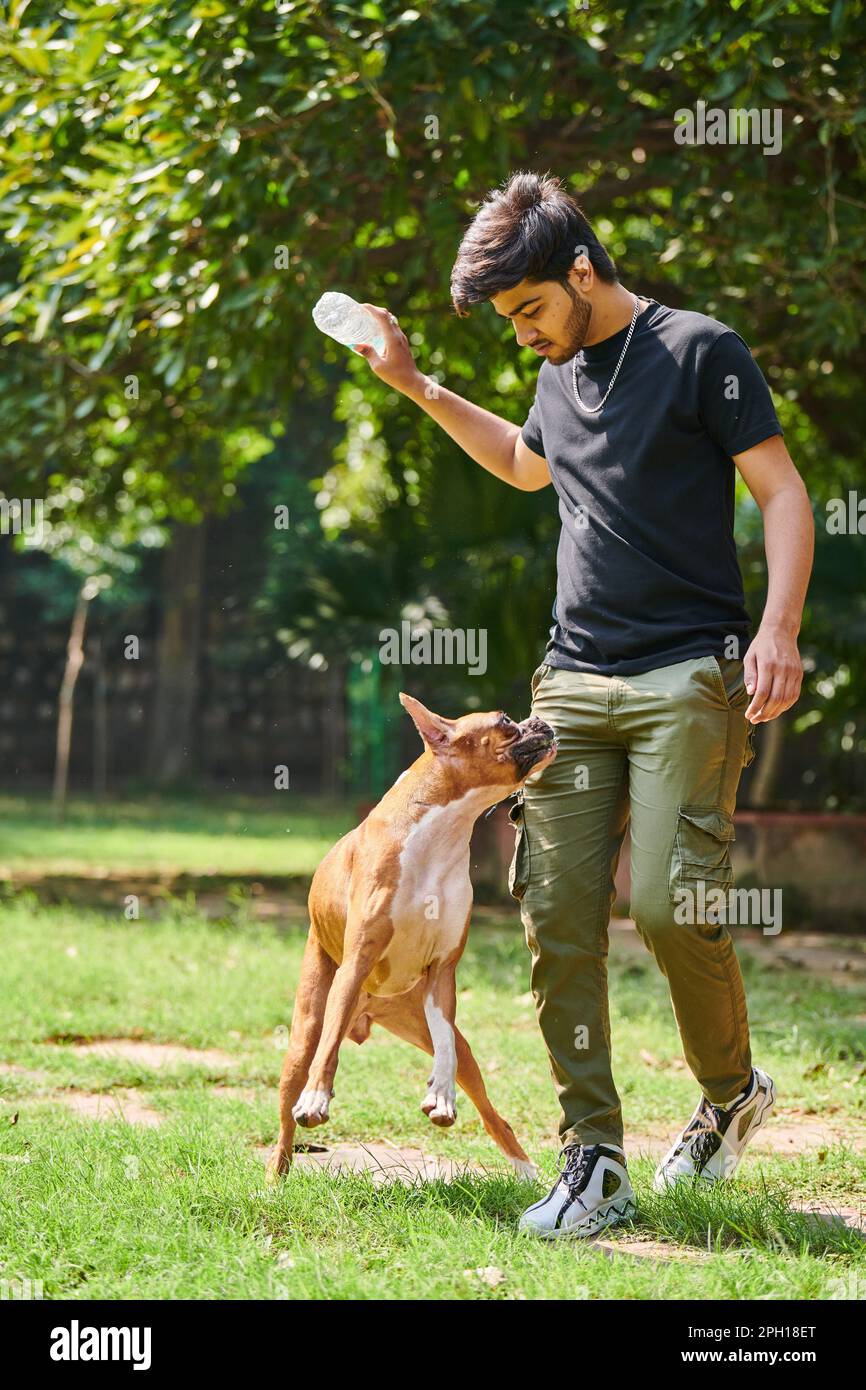 Young indian man playing with boxer dog on green summer lawn in public ...