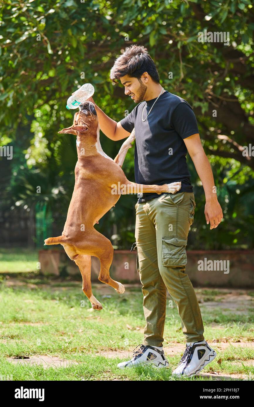 Young indian man playing with boxer dog on green summer lawn in public ...