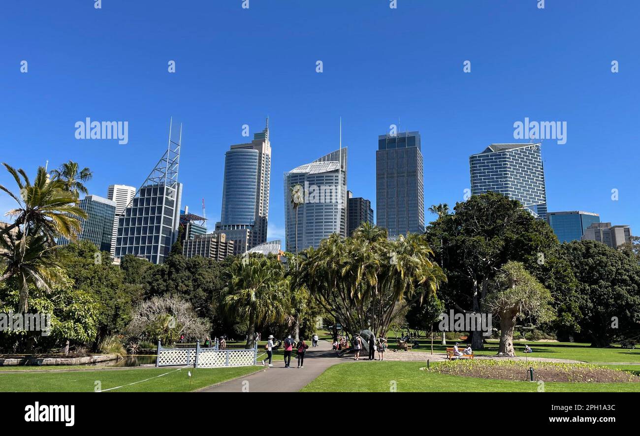 A view of Sydney's skyline from the Royal Botanical Garden in Sydney ...