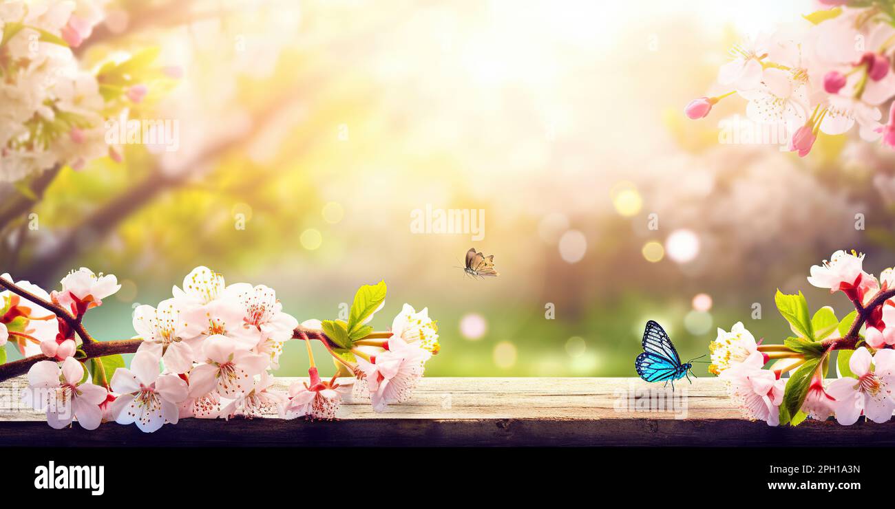 Spring background with empty wooden table. Wooden table in spring ...