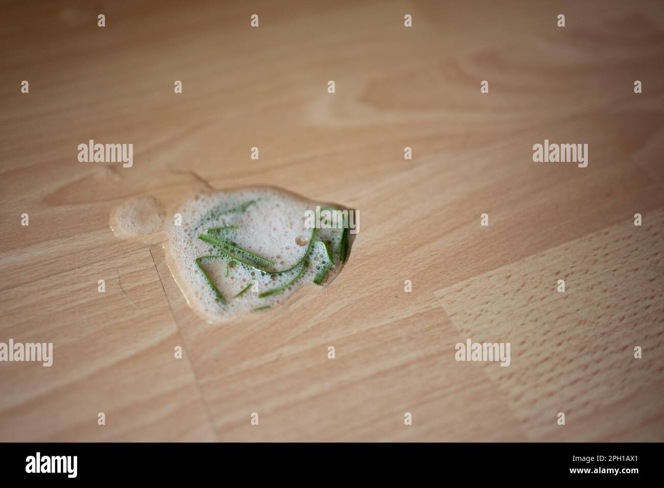 puked out cat grass blades and saliva on wooden floor with copy space ...