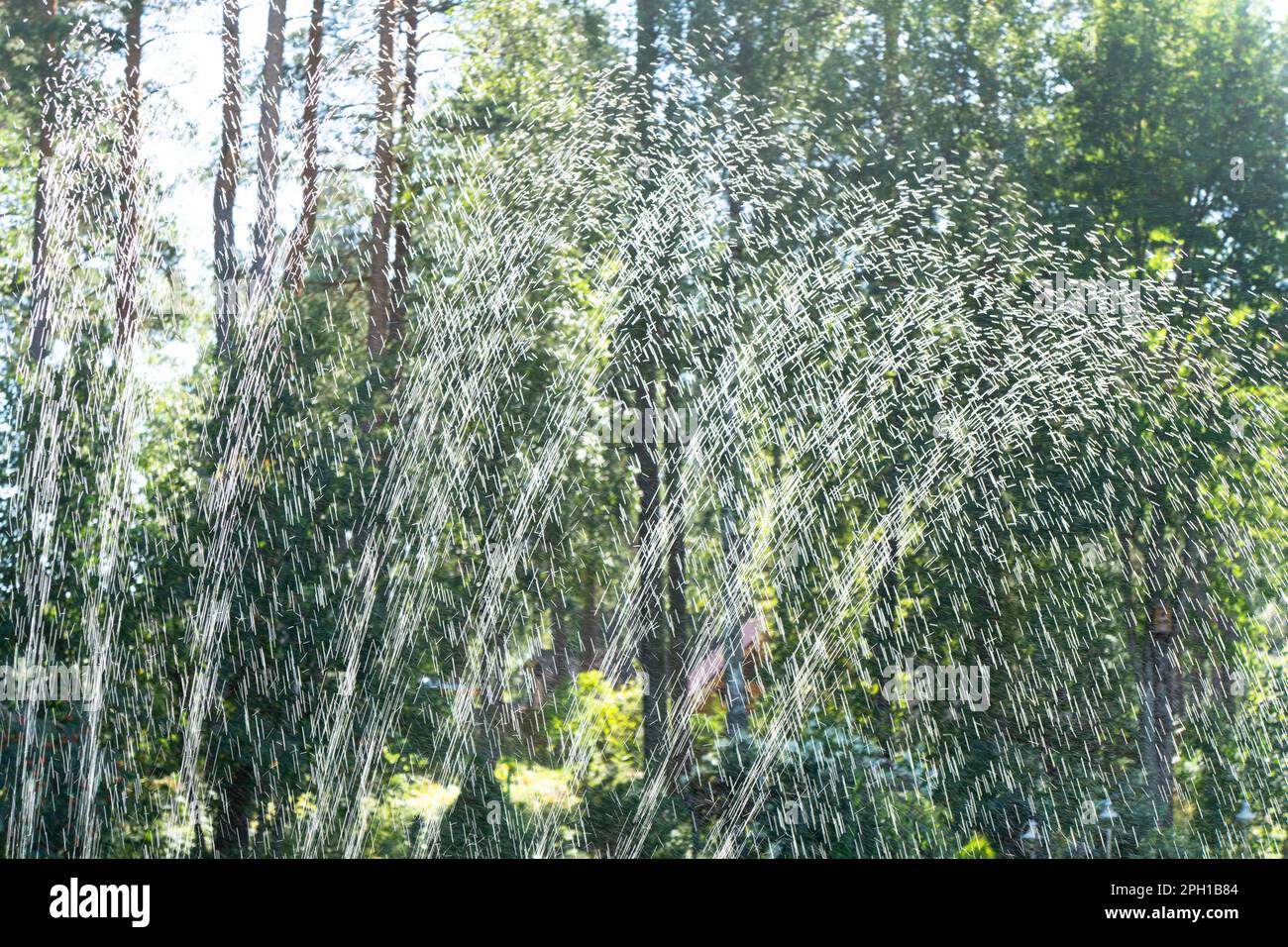 Garden irrigation system lawn. Automatic lawn sprinkler watering green ...