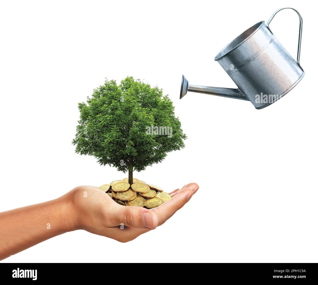 Watering can and hand holding stack of golden coins with tree growing ...