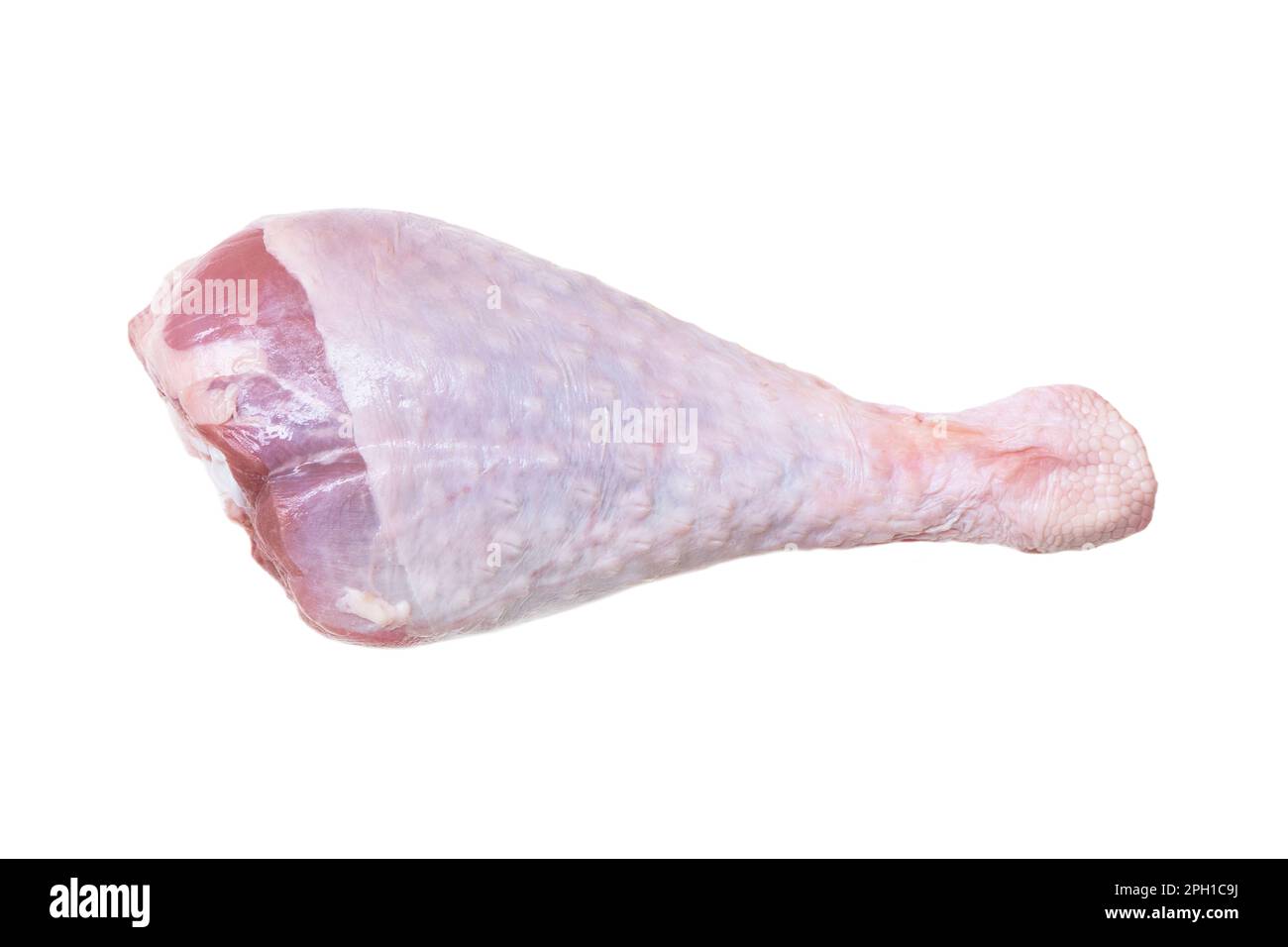 Raw turkey drumstick isolated on white background. Turkey leg isolated ...