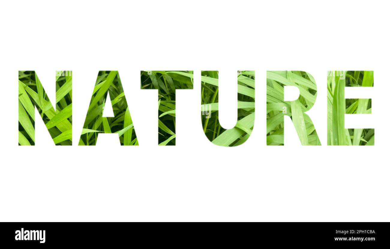 Word nature view green leaf on greenery background. Green letter word ...