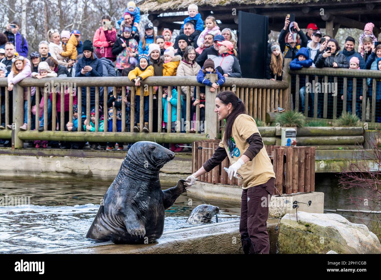 Chomutov, Czech Republic. 25th Mar, 2023. The 40th birthday celebration ...