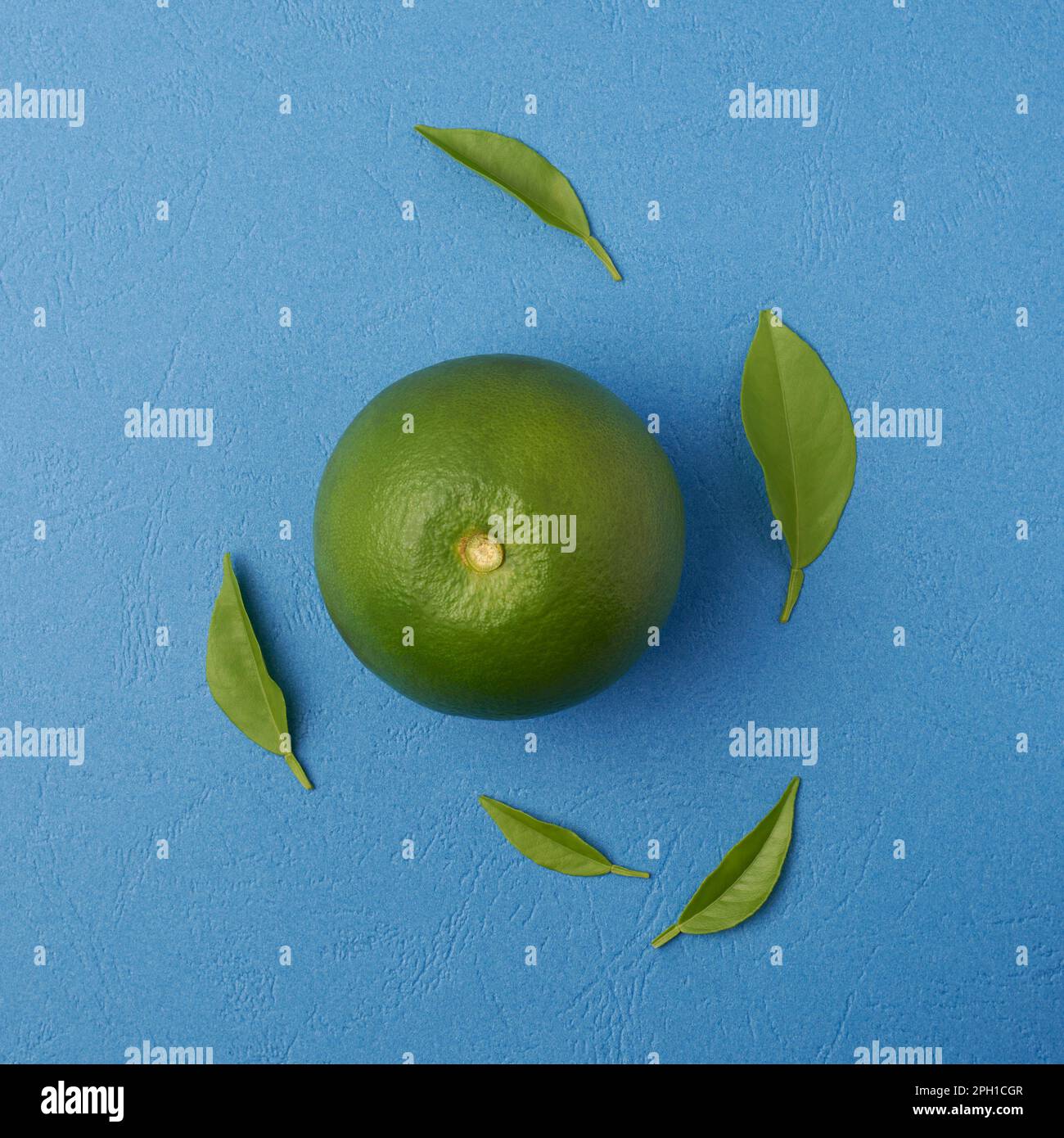 green skin orange fruit on blue textured background with it's leaves ...