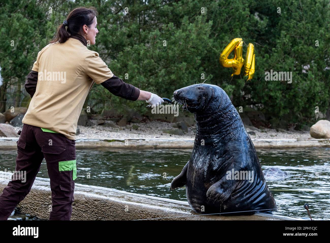 Chomutov, Czech Republic. 25th Mar, 2023. The 40th birthday celebration ...