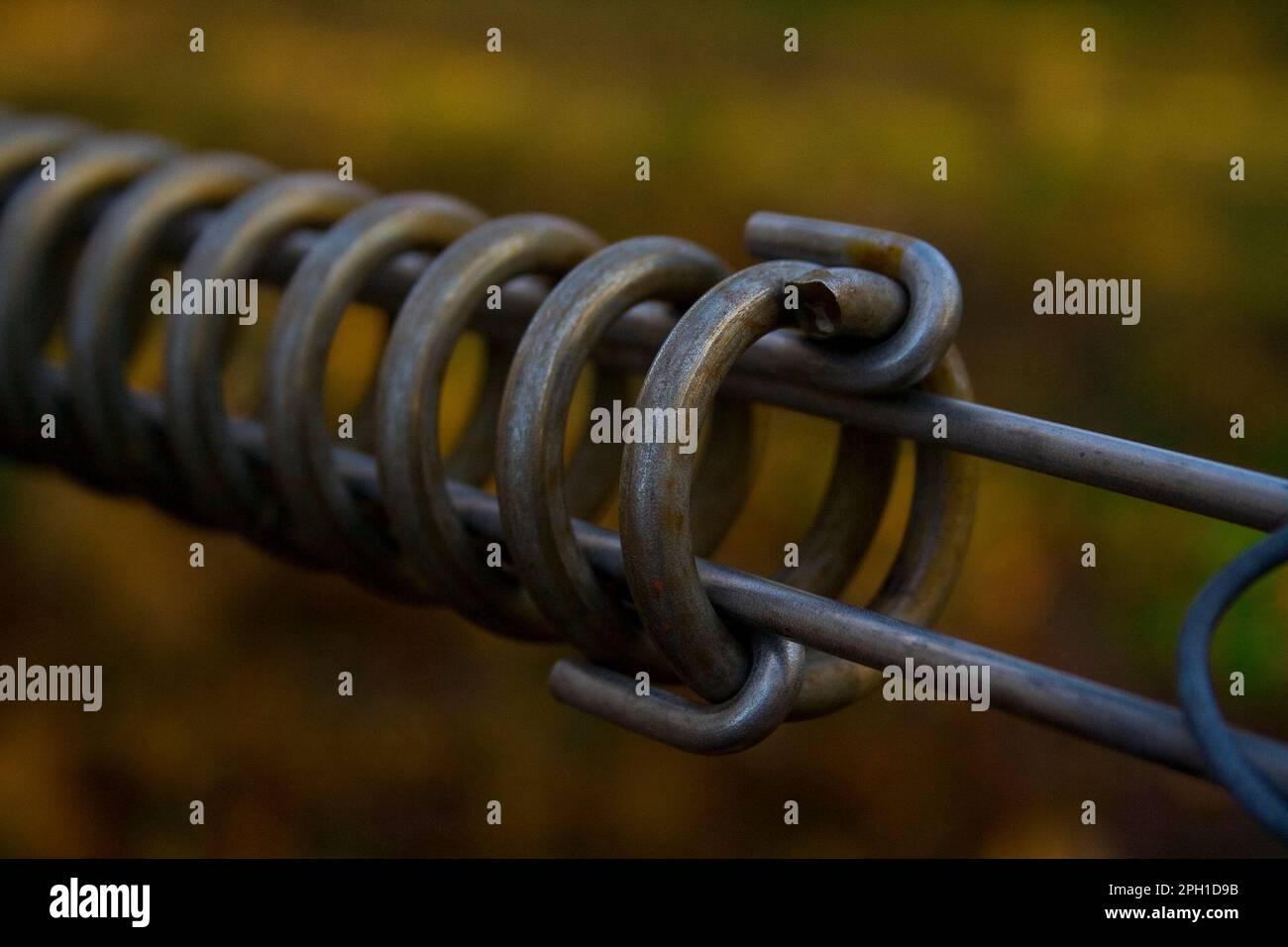 A close up shot of a rusty metal spring partially attached to a wooden ...