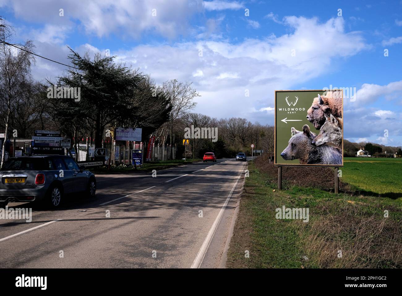 wildwood trust discovery park for wild animals,herne,east kent,city of ...