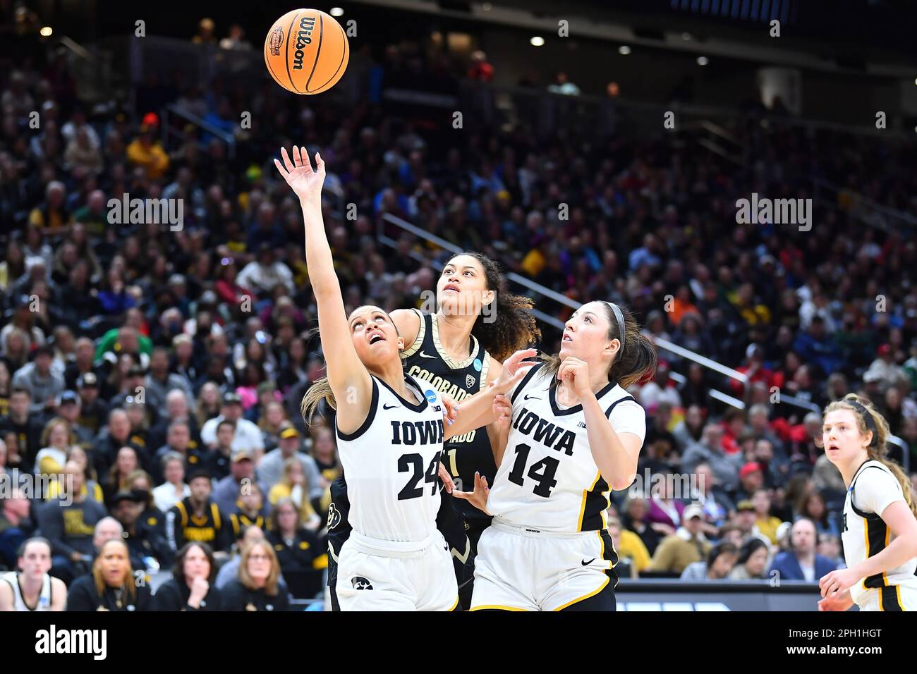 Gabbie marshall hi-res stock photography and images - Alamy