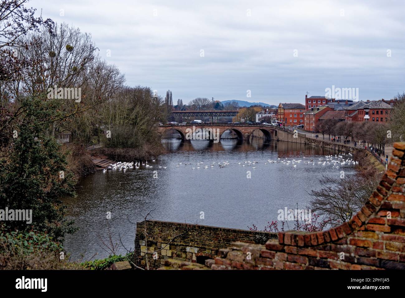 The Swan Sanctuary on the river Severn at Worcester, England, United ...