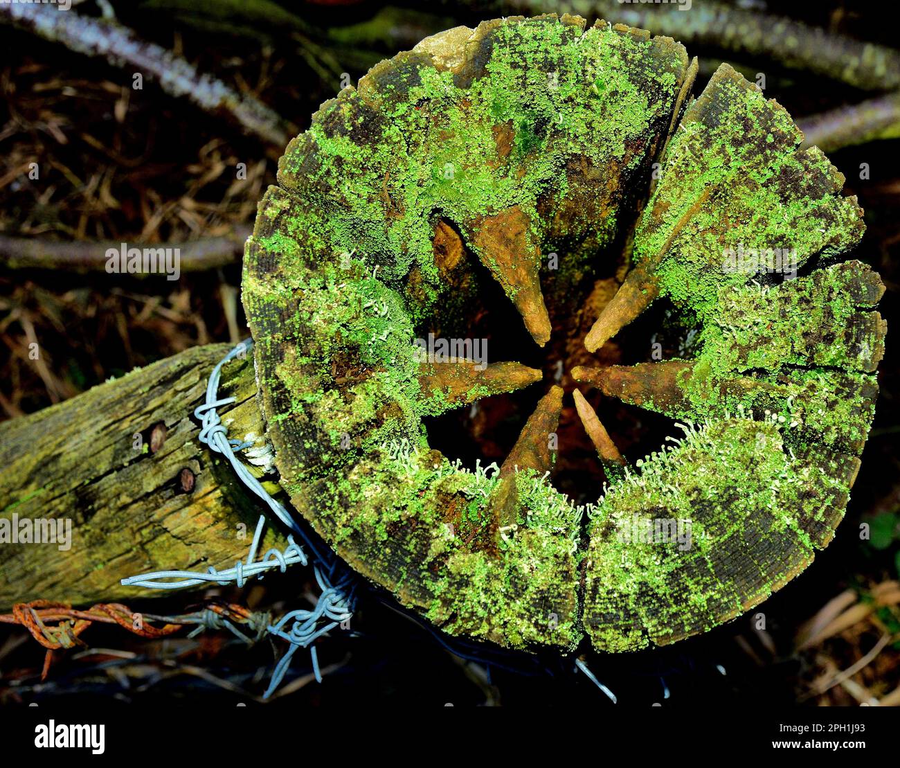 Rotten wooden posts hi-res stock photography and images - Alamy