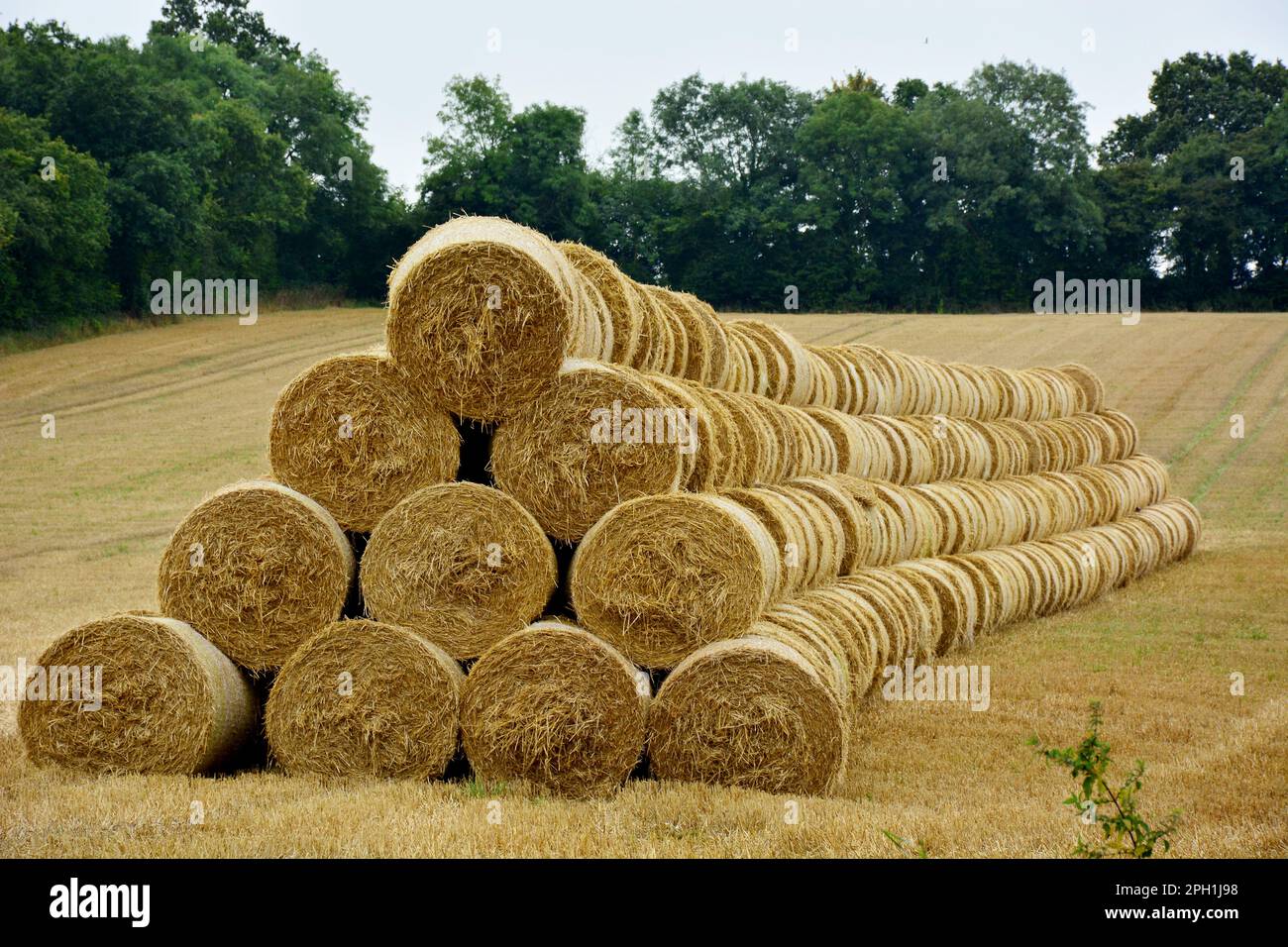 Hay fields hi-res stock photography and images - Alamy