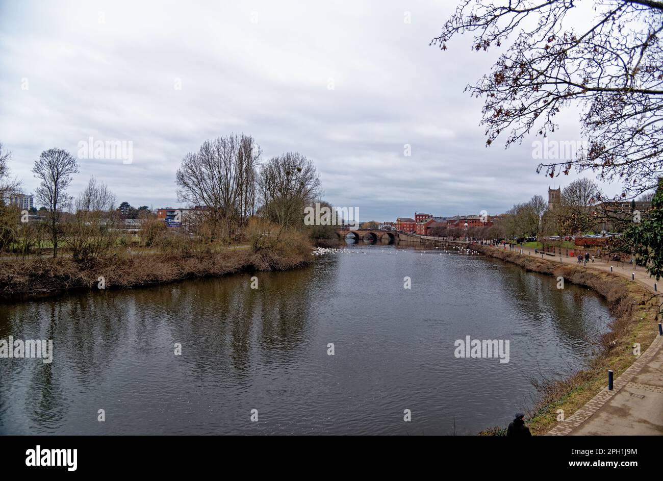 The Swan Sanctuary on the river Severn at Worcester, England, United ...