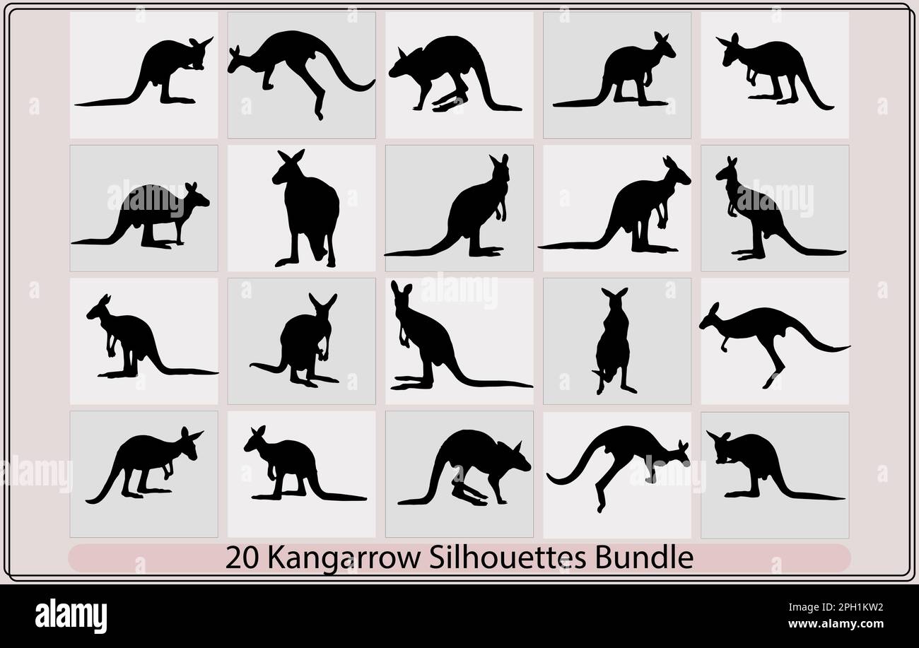 Kangaroo set hi-res stock photography and images - Alamy
