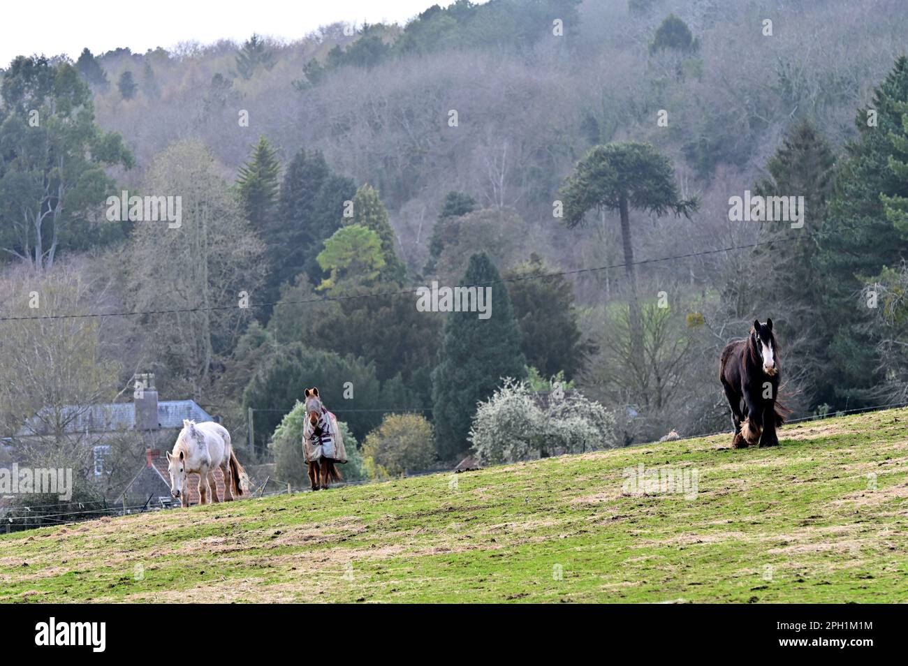 Portishead, UK. 25th Mar, 2023. On a windy dry and overcast day three ...