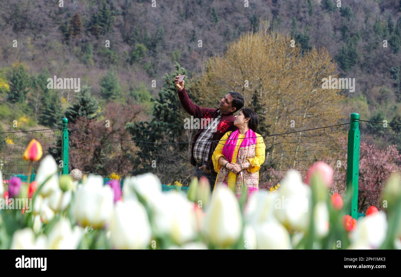 March 25, 2023, Srinagar, Jammu and Kashmir, India: Couples enjoy tulip ...