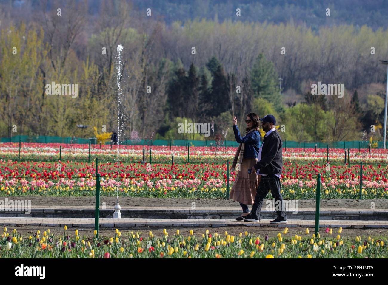March 25, 2023, Srinagar, Jammu and Kashmir, India: Tourists enjoy ...