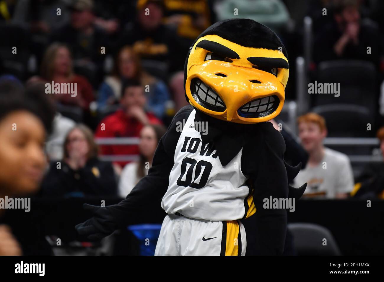 Herky the hawk hi-res stock photography and images - Alamy