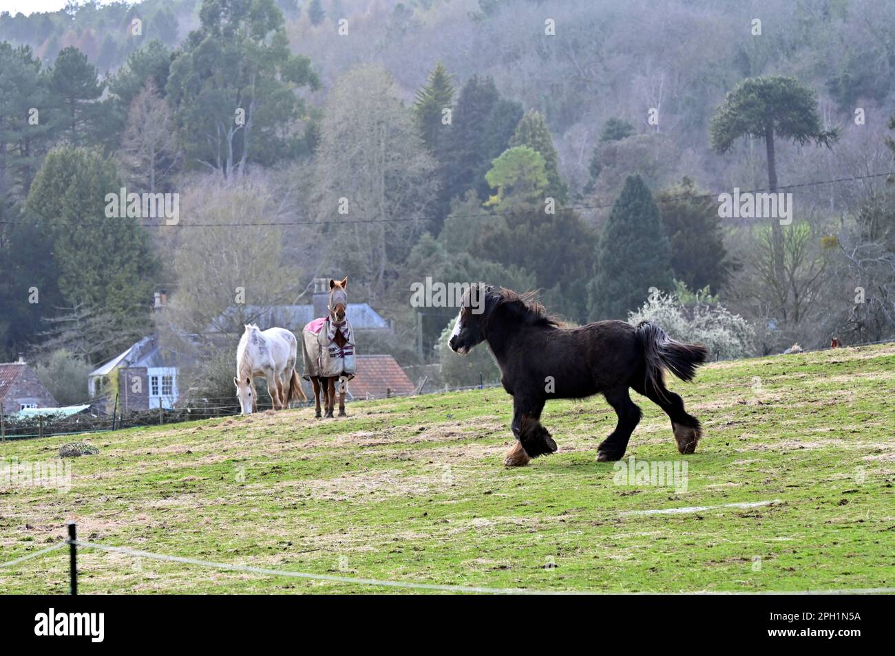 Portishead, UK. 25th Mar, 2023. On a windy dry and overcast day three ...