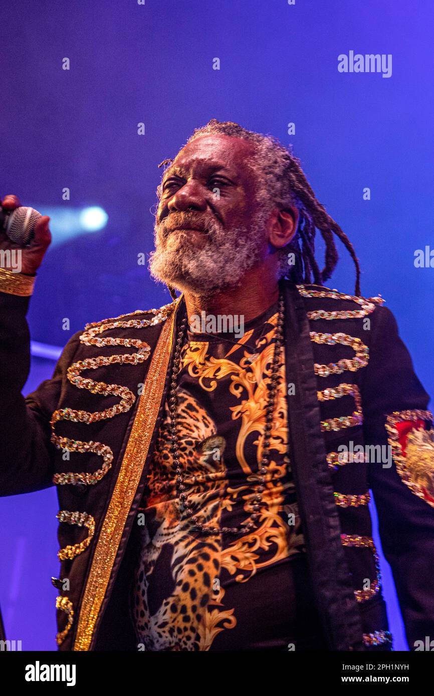 Reggae jamaicain hi-res stock photography and images - Alamy